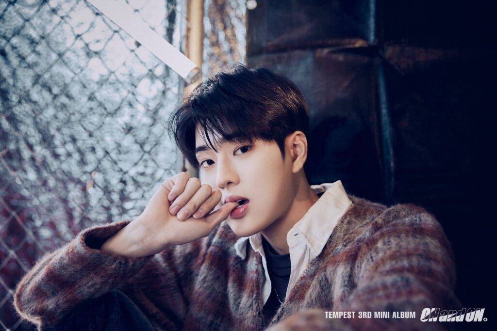 引用元:TEMPEST(公式Twitter)