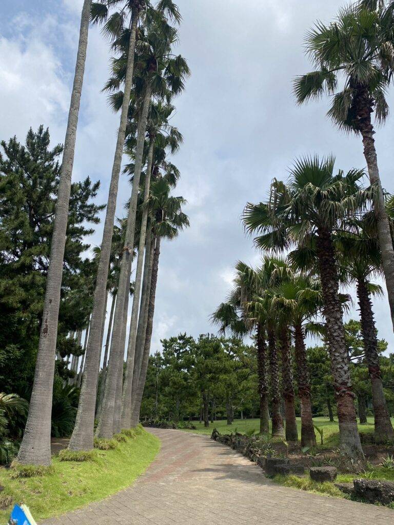 kasioda編集部（現地ライター）