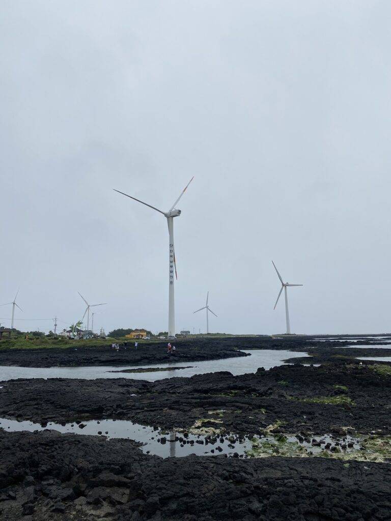 kasioda編集部（現地ライター）