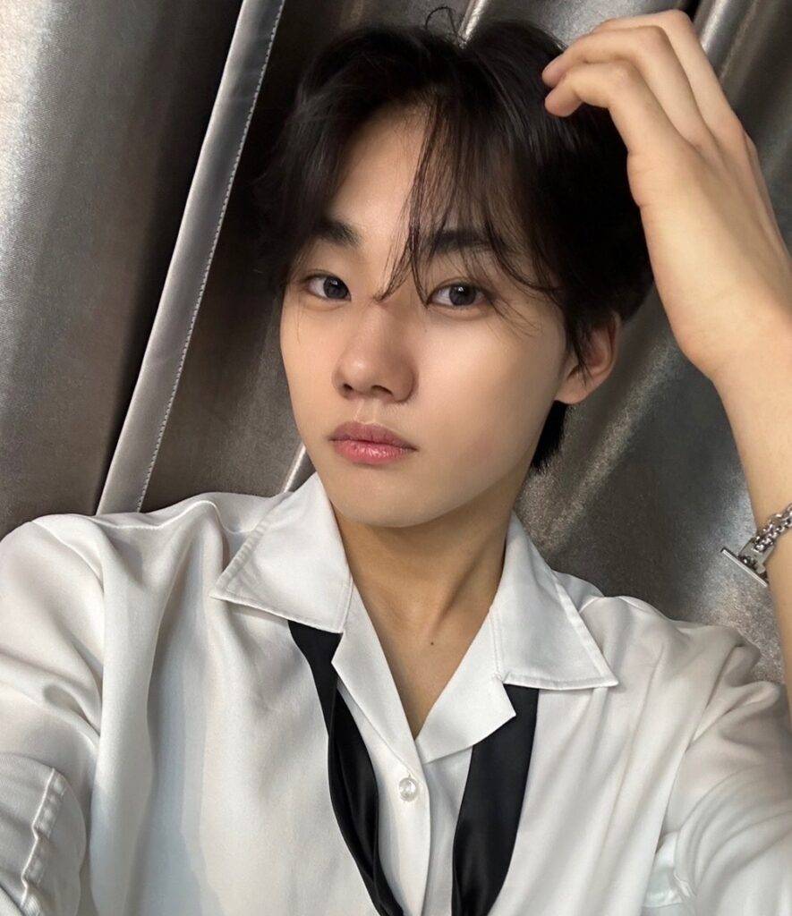 引用元：【EASTSHINE】公式X